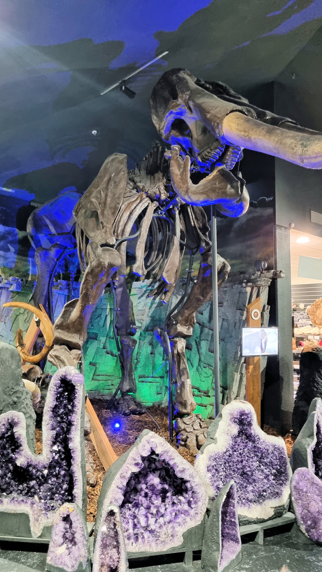 National Dinosaur Museum - Destination's Journey