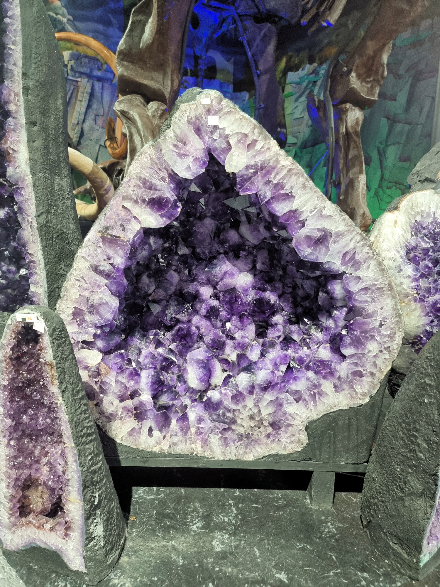 National Dinosaur Museum - Destination's Journey