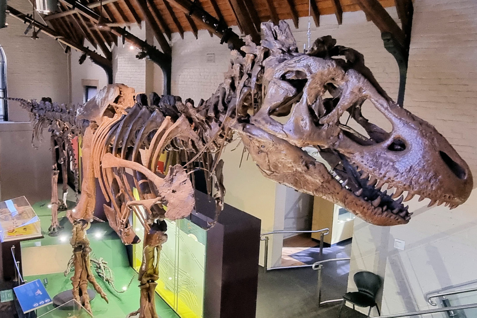 Australian Fossil and Mineral Museum - Destination's Journey