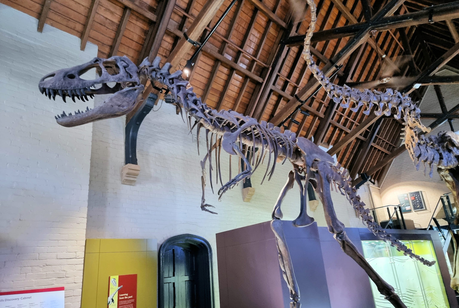 Australian Fossil and Mineral Museum - Destination's Journey