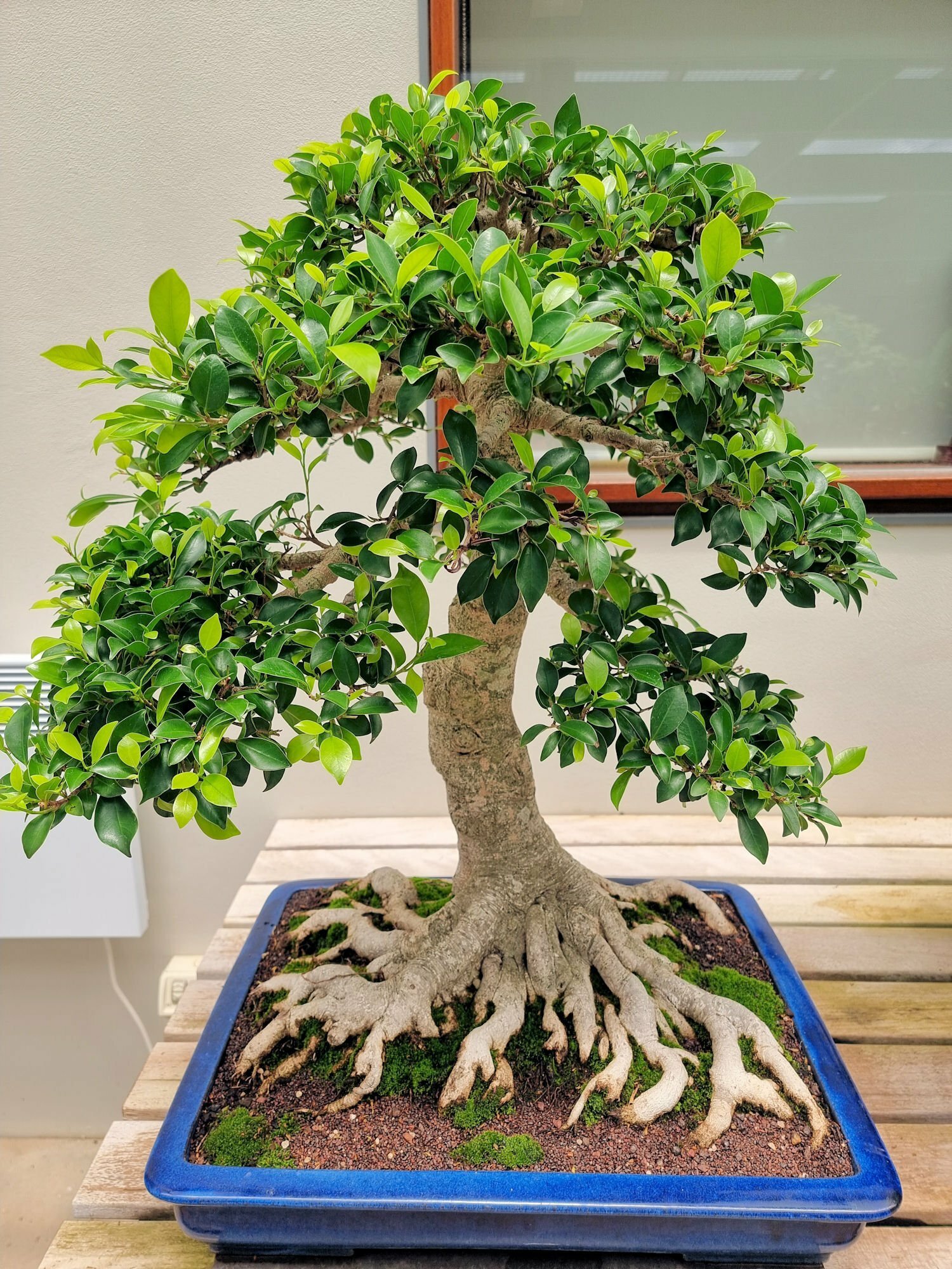 National Arboretum Canberra Australia - Destination's Journey