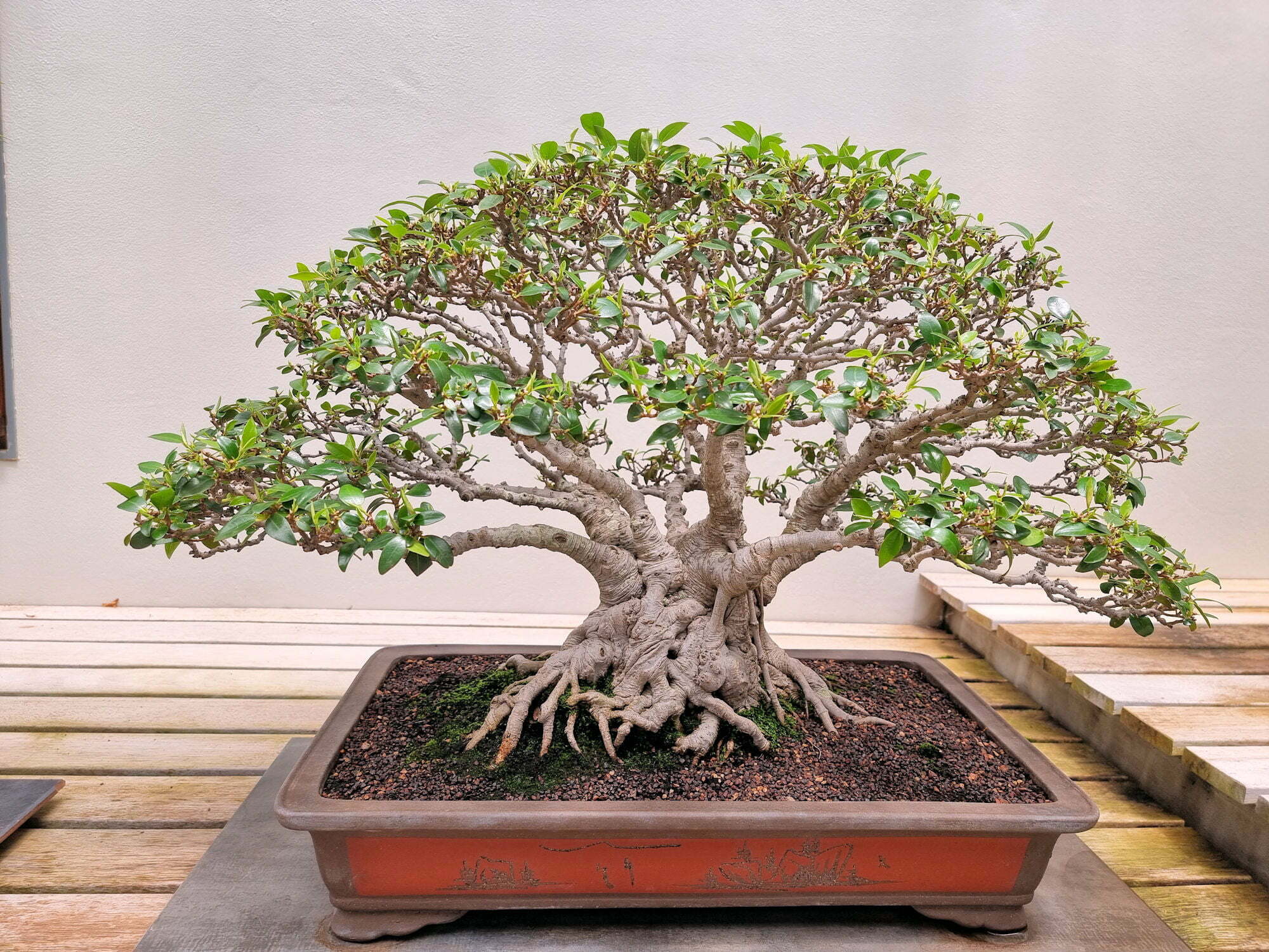 National Arboretum Canberra Australia - Destination's Journey