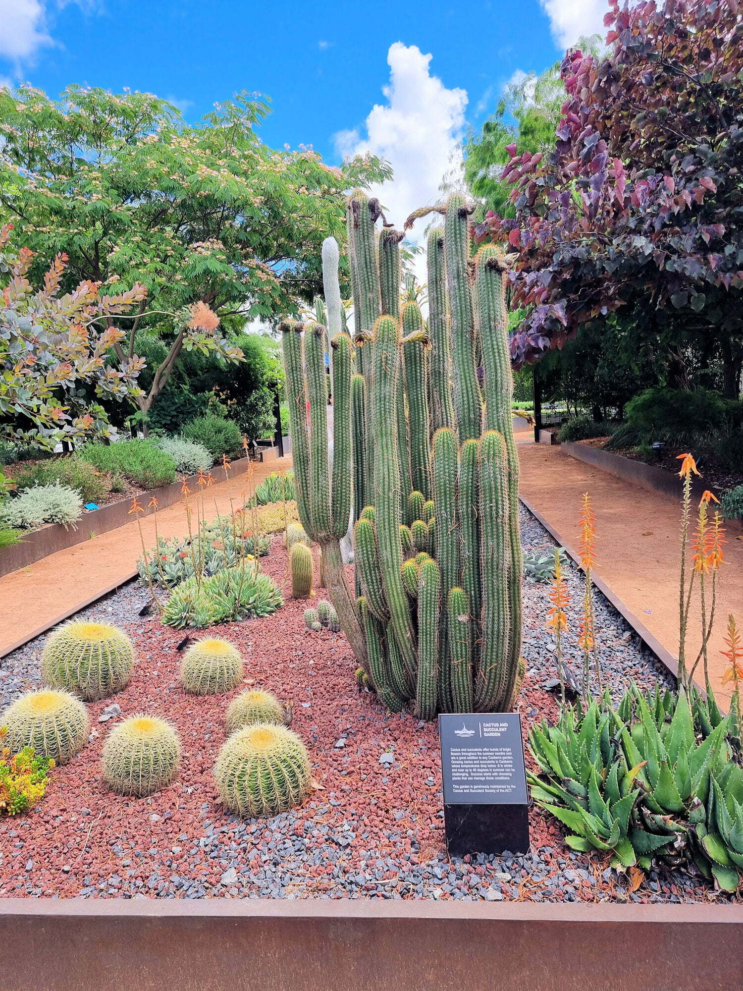 National Arboretum Canberra Australia - Destination's Journey
