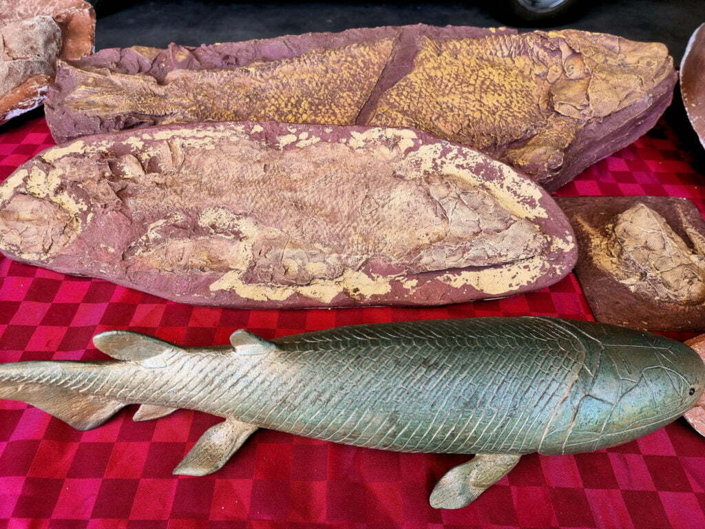 Age of Fishes Museum - Destination's Journey