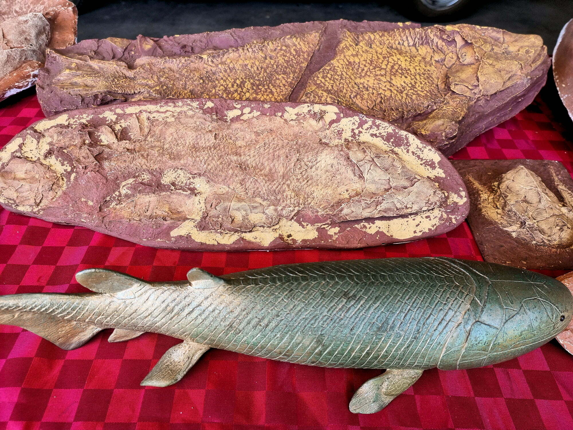 Age of Fishes Museum - Destination's Journey