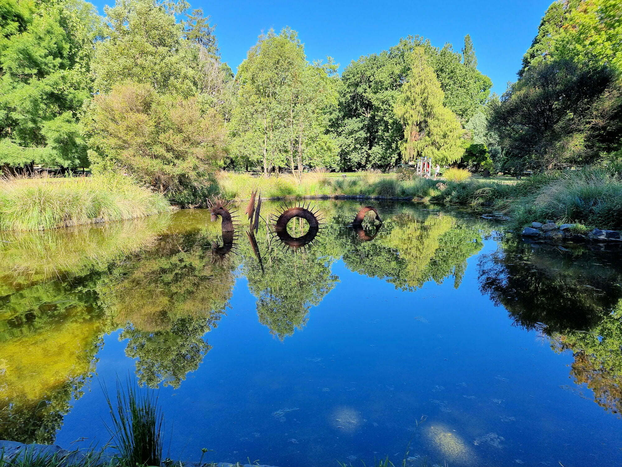 Cook Park Orange - Destination's Journey