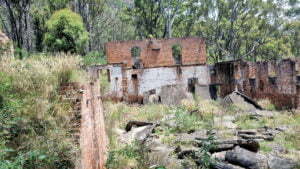 Newnes Industrial Ruins and Bushwalking - Destination's Journey