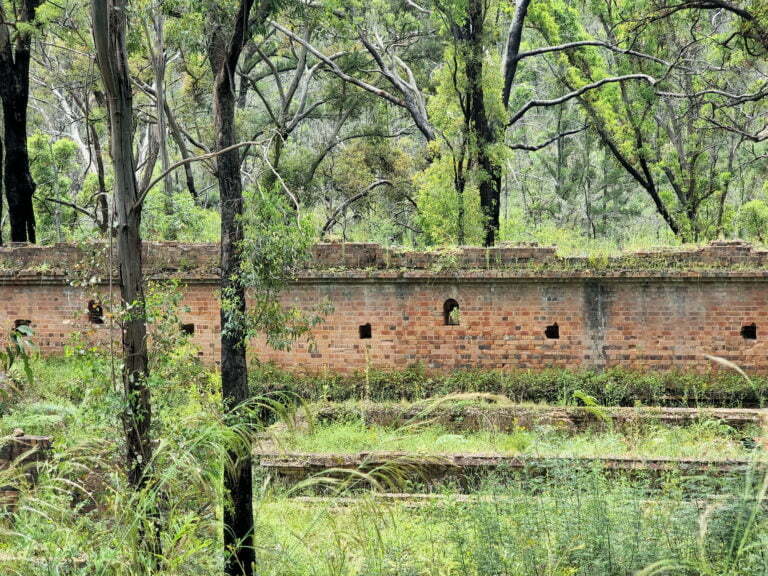 Newnes Industrial Ruins and Bushwalking - Destination's Journey