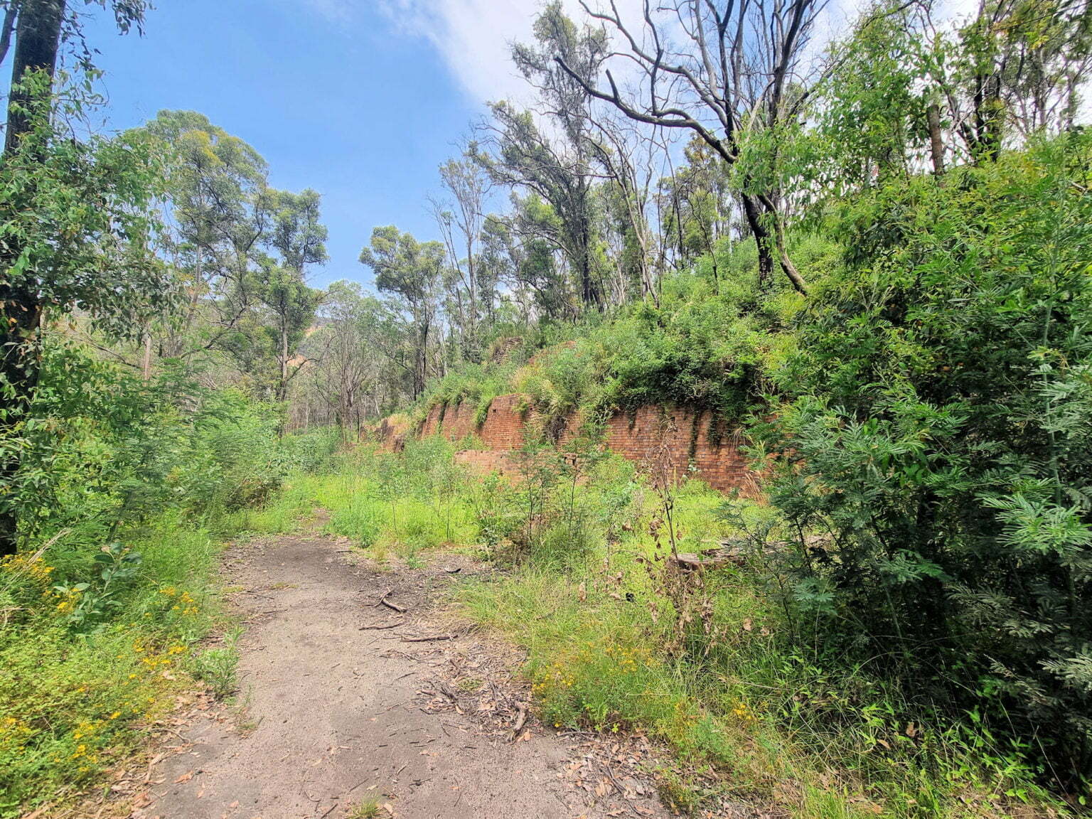 Newnes Industrial Ruins and Bushwalking - Destination's Journey