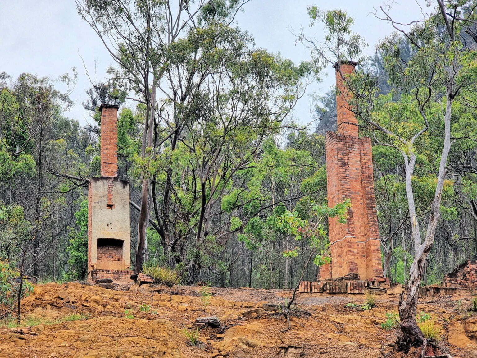 Newnes Industrial Ruins and Bushwalking - Destination's Journey