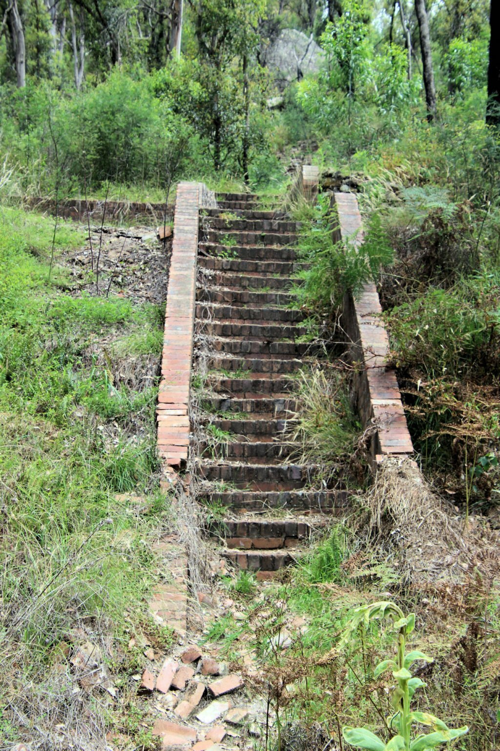 Newnes Industrial Ruins and Bushwalking - Destination's Journey