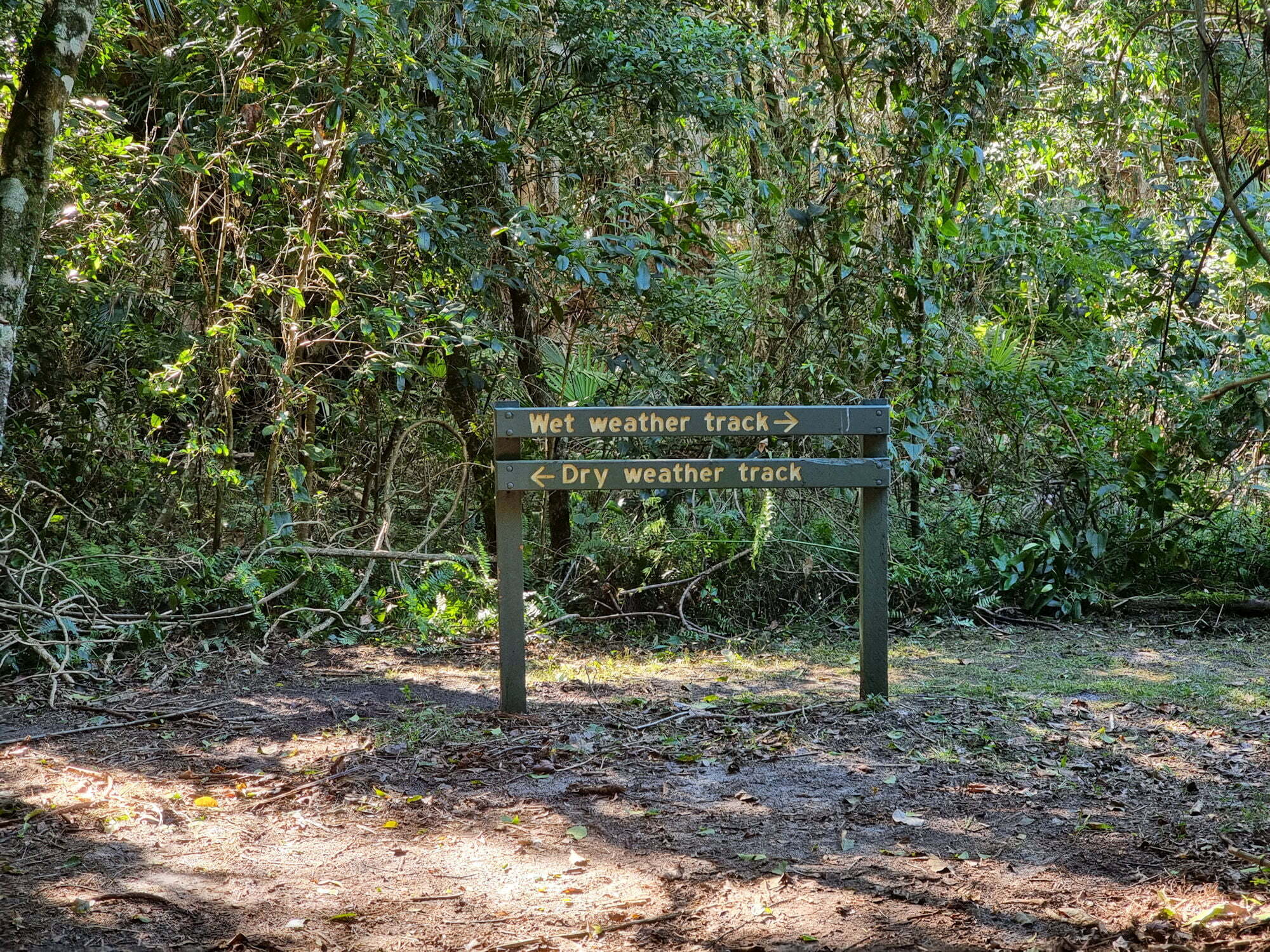 Mungo Rainforest Walk Myall Lakes - Destination's Journey