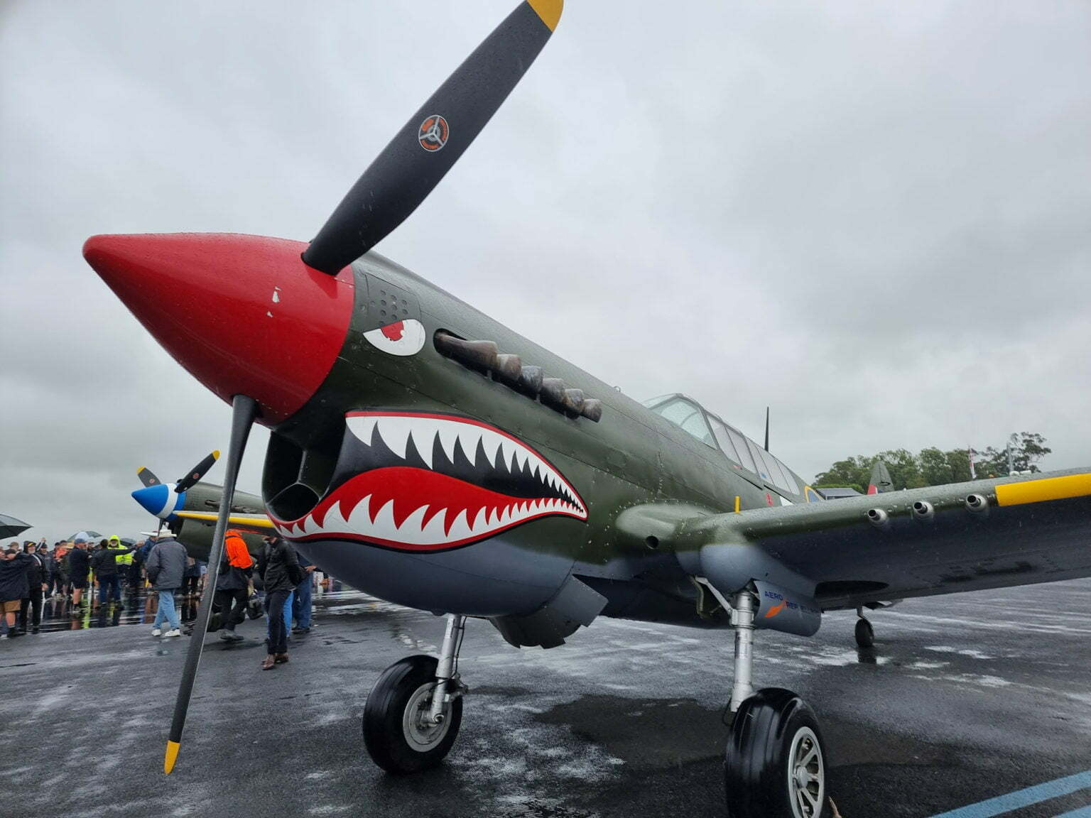 Curtiss P-40 Kittyhawk - Destination's Journey
