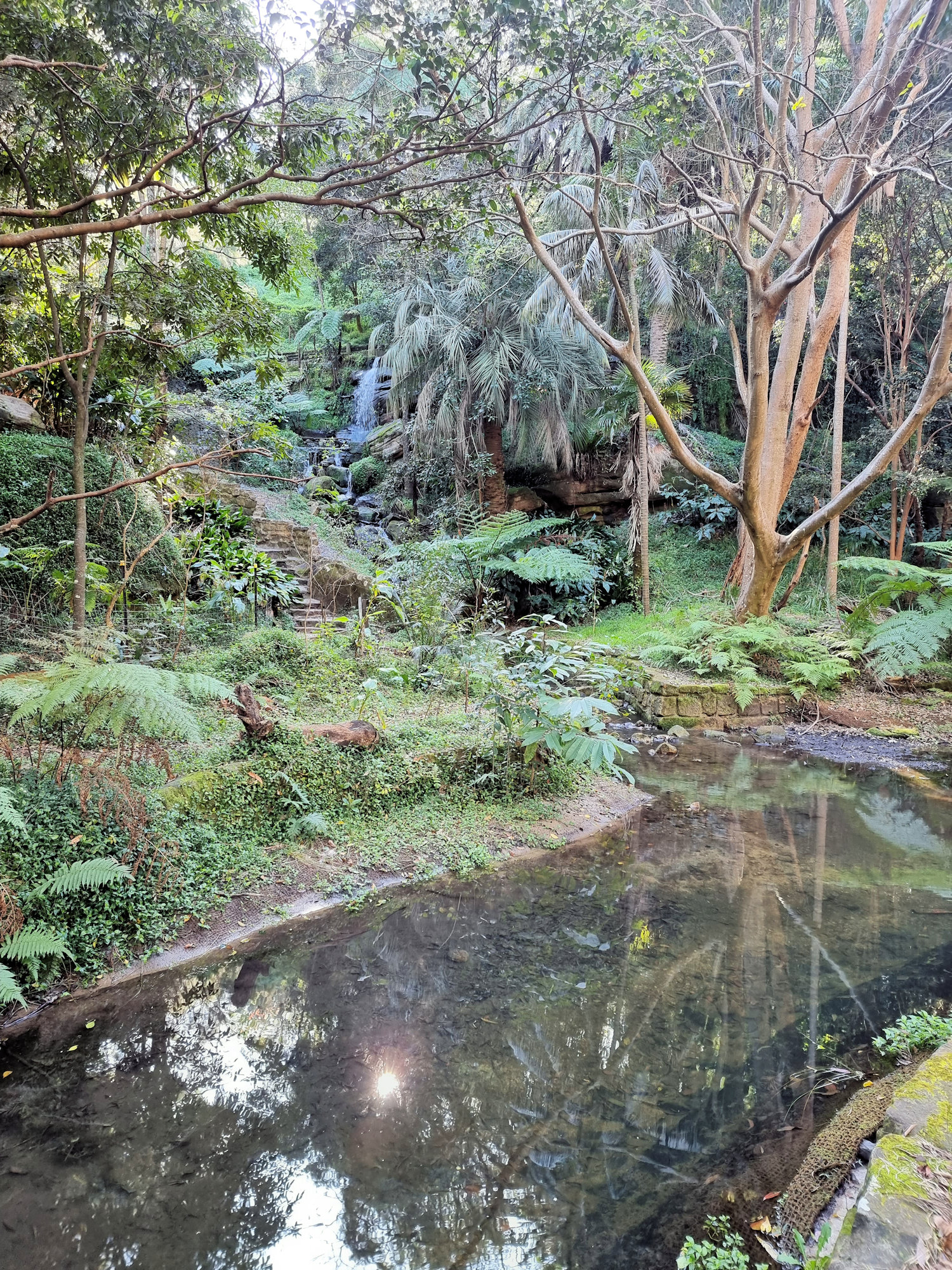 Cooper Park Bushwalking in the City - Destination's Journey