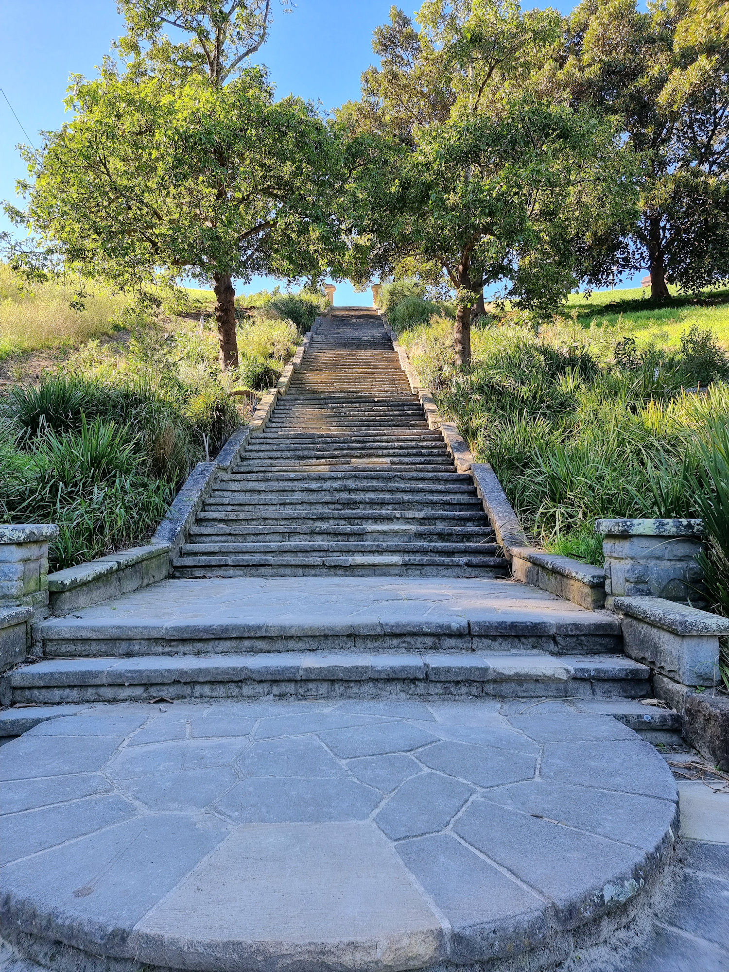Cooper Park Bushwalking in the City - Destination's Journey