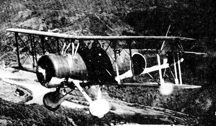 Aichi D1A Japanese Dive Bomber - Destination's Journey