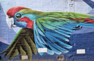 Katoomba Street Art - Destination's Journey