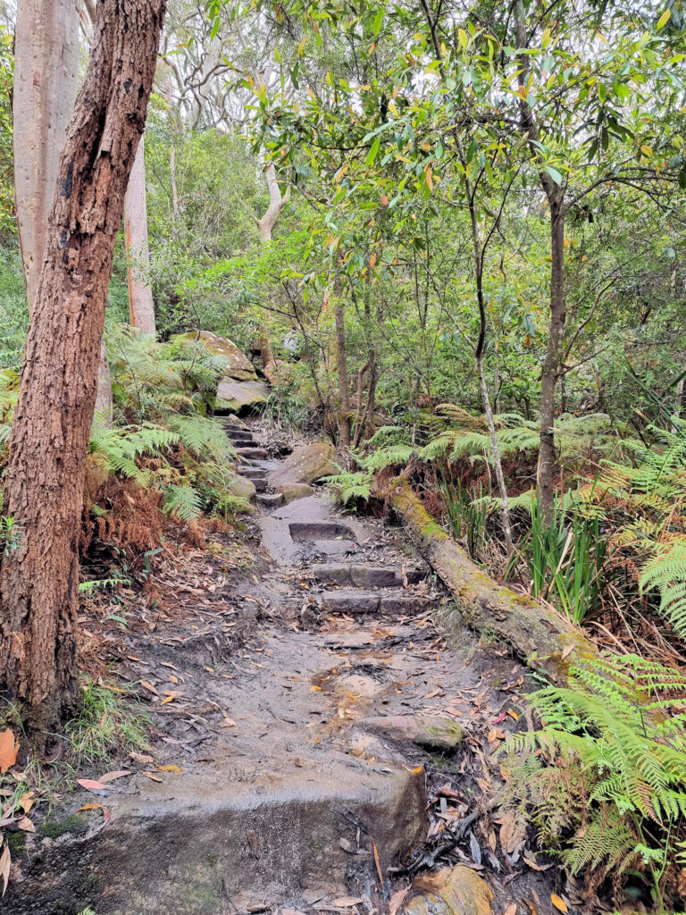 Flat Rock Gully Walking Track - Destination's Journey