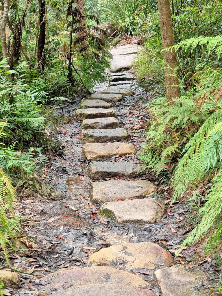 Flat Rock Gully Walking Track - Destination's Journey