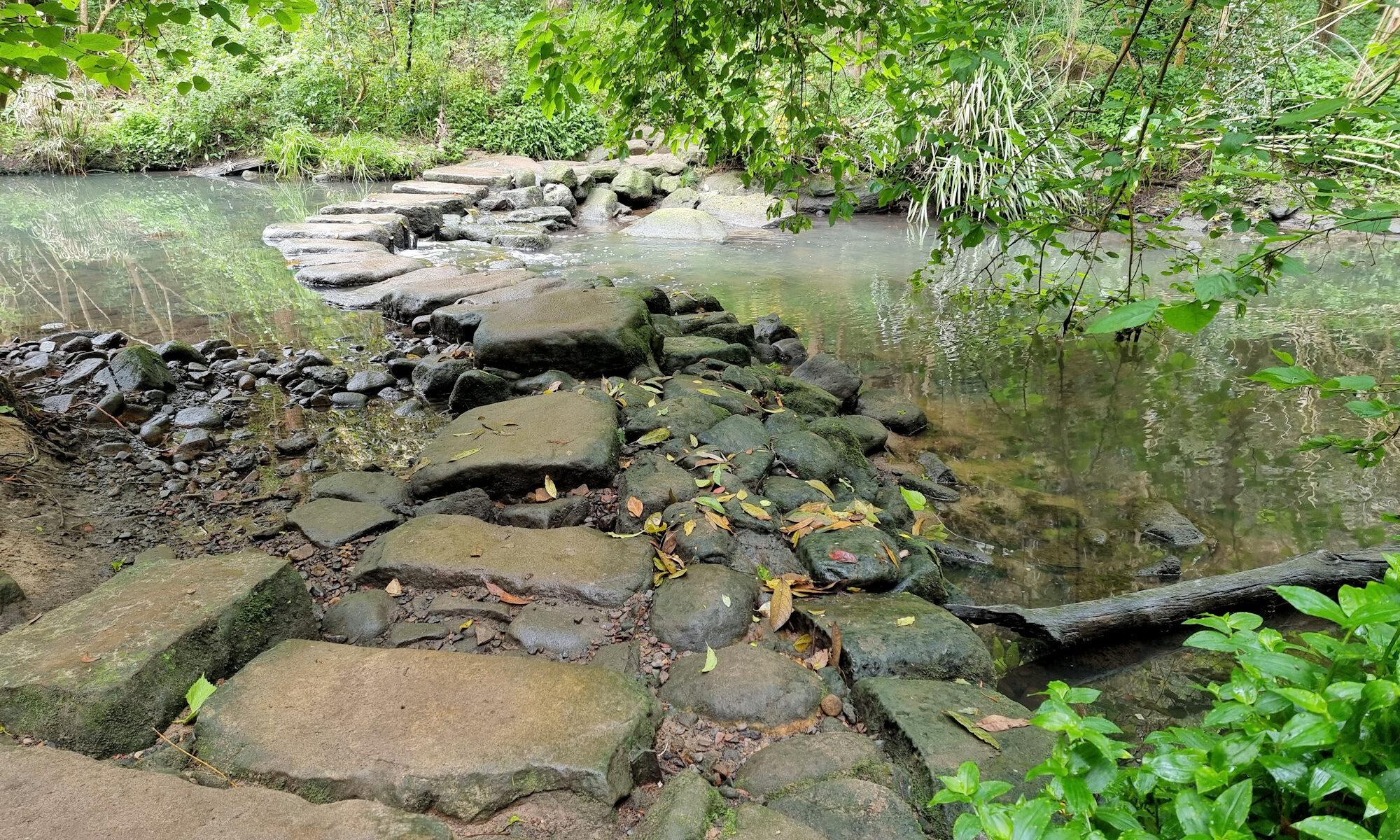 Flat Rock Gully Walking Track - Destination's Journey