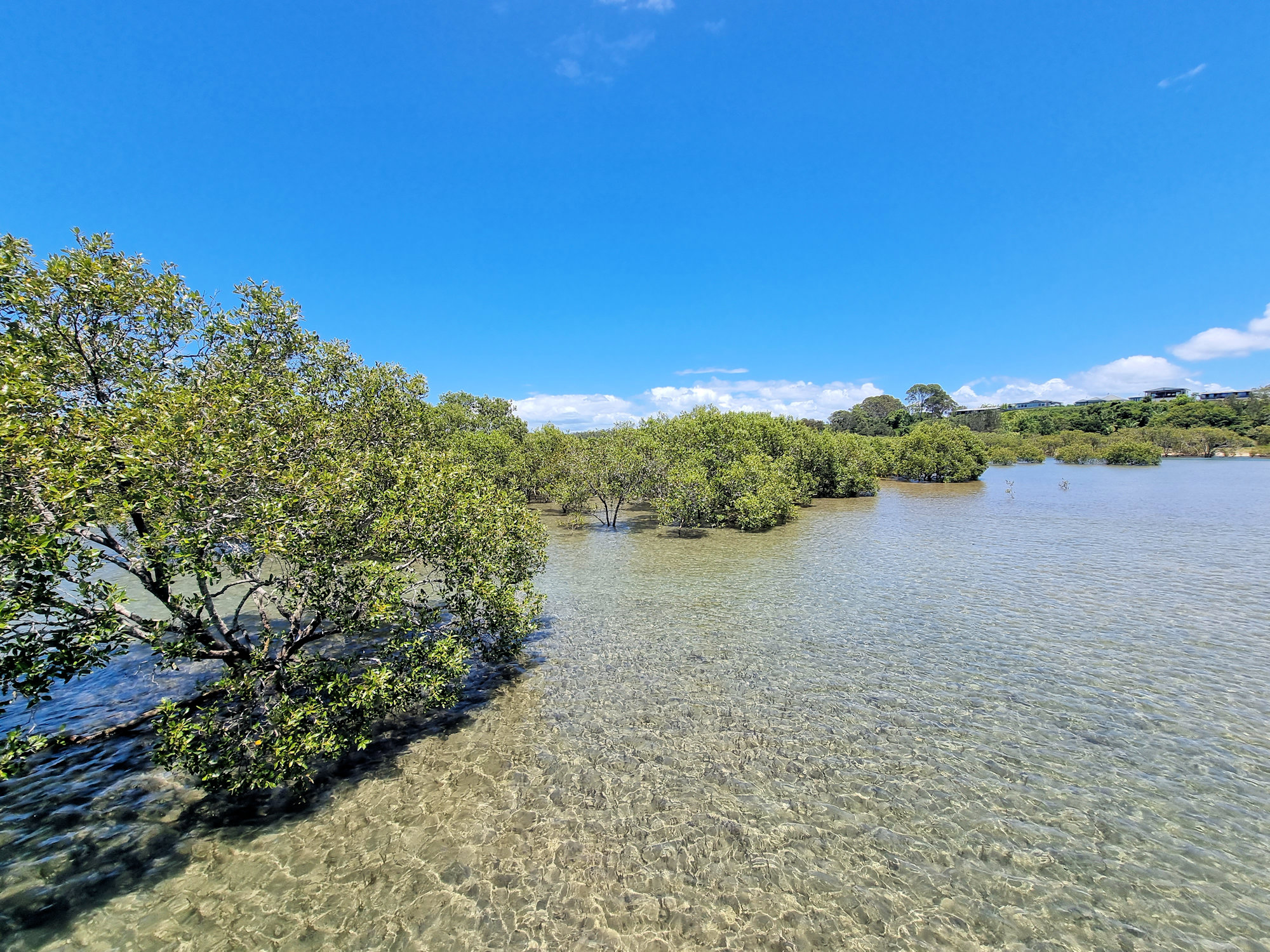 Urunga Lagoon Footbridge - Destination's Journey