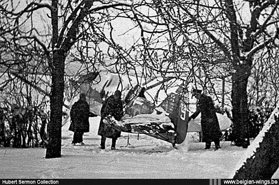 Renard R.31 Belgian Reconnaissance Aircraft - Destination's Journey