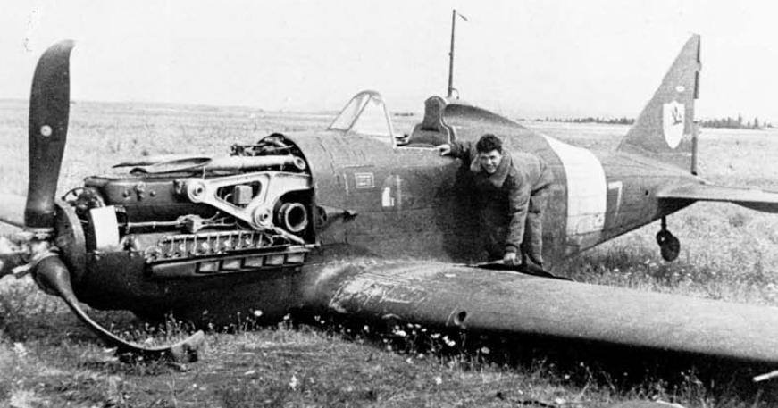 Reggiane Re.2001 Falco II - Destination's Journey