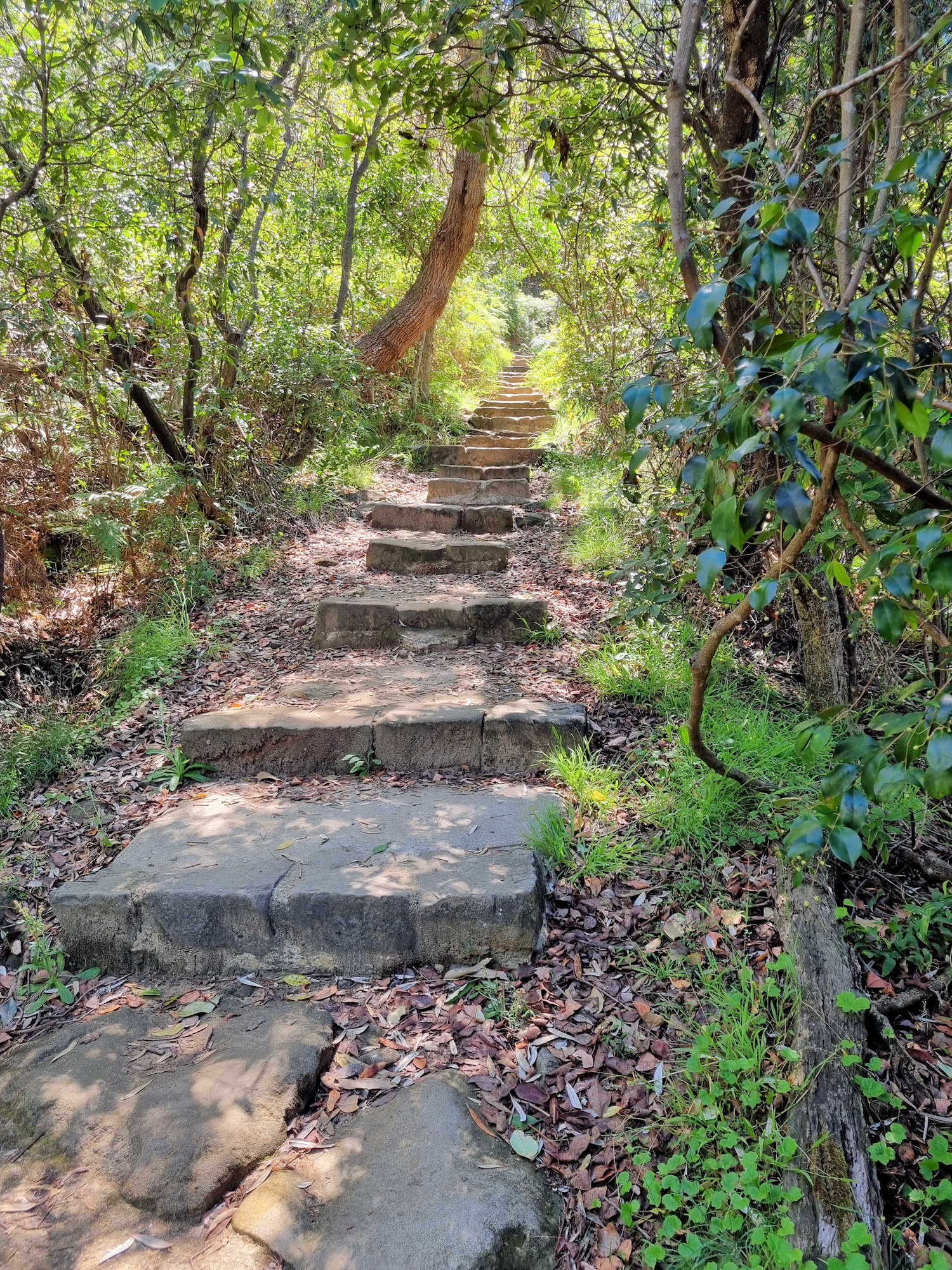 Headland Park Walking Track - Destination's Journey