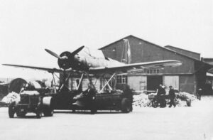 Arado Ar 196 Floatplanes of Bordfliegergruppe 196 - Destination's Journey