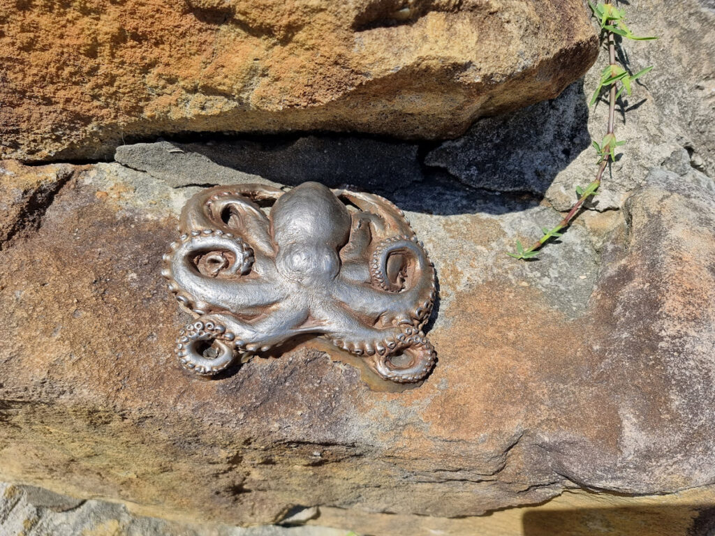 Manly to North Head Walk - Destination's Journey