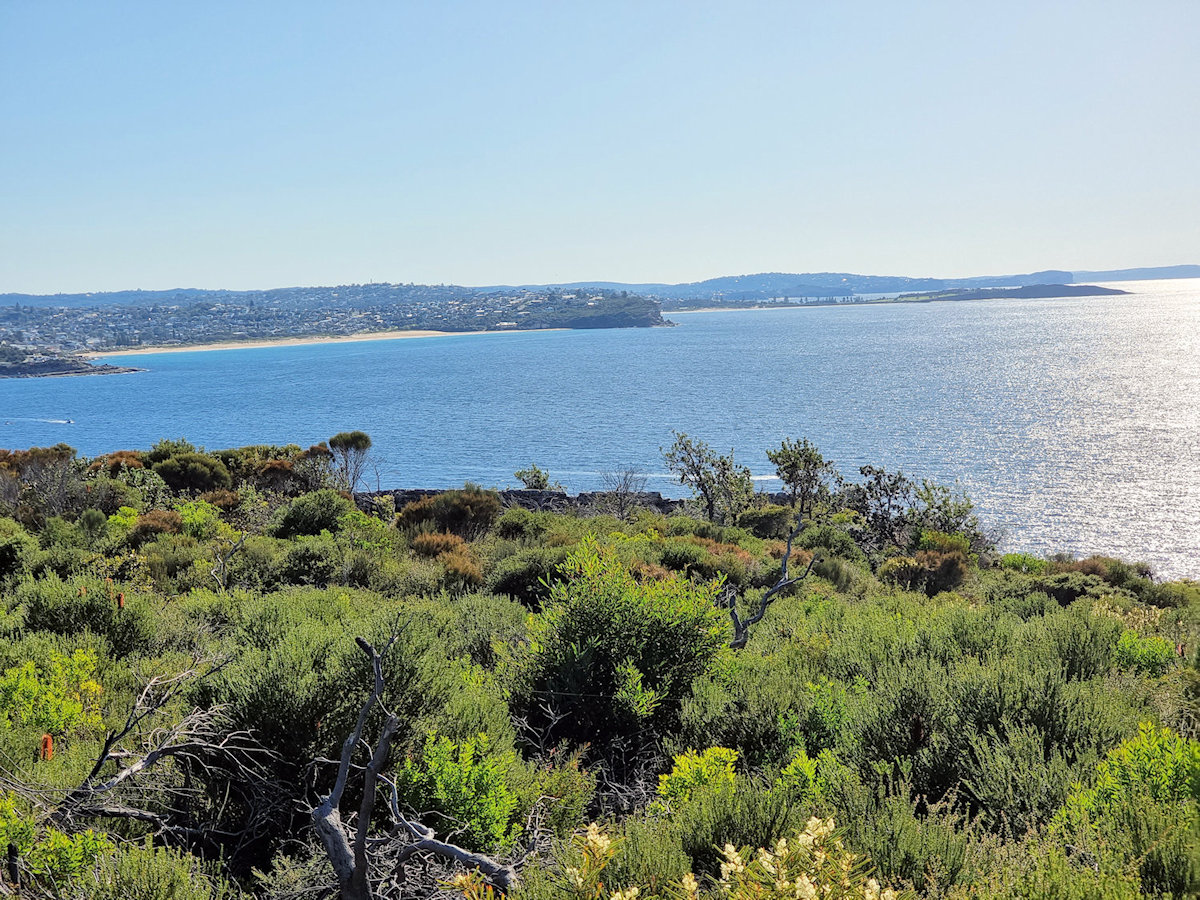 Manly to North Head Walk - Destination's Journey