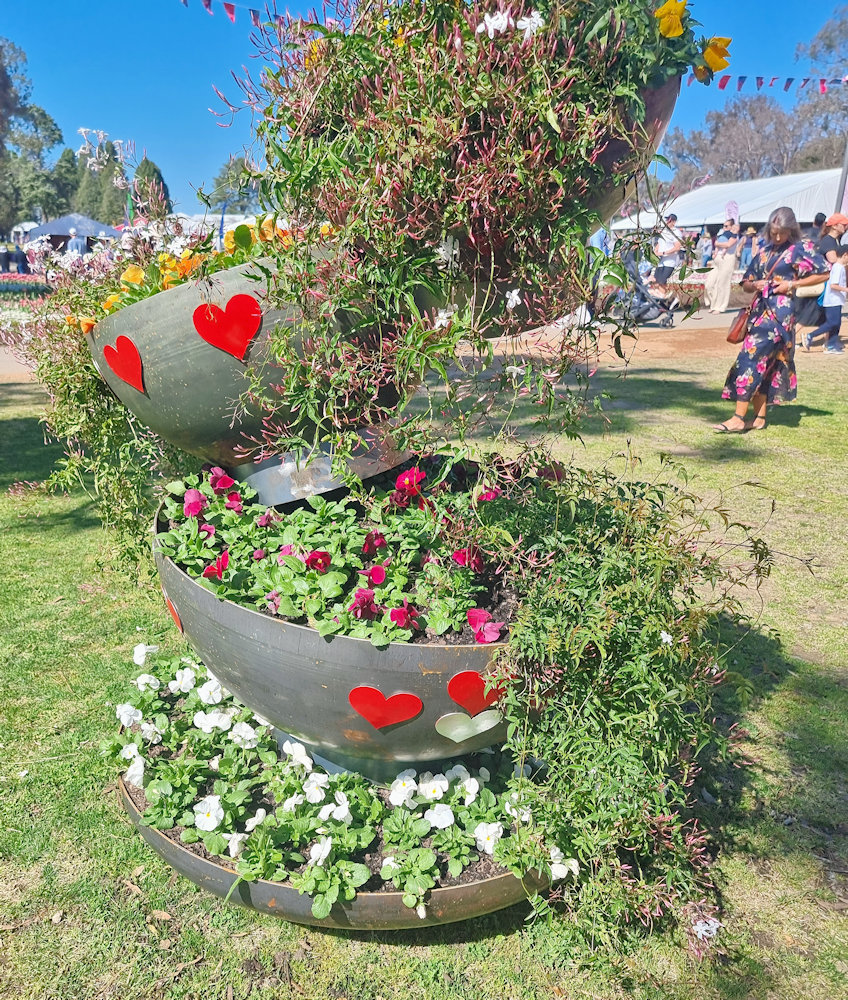 Floriade Canberra 2023 - Destination's Journey