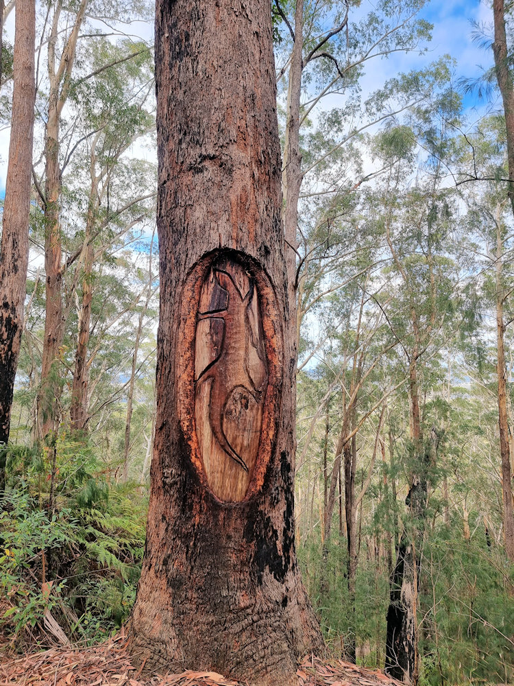 Boolah-Dillah Track - Destination's Journey