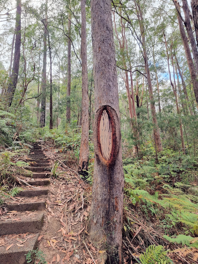 Boolah-Dillah Track - Destination's Journey