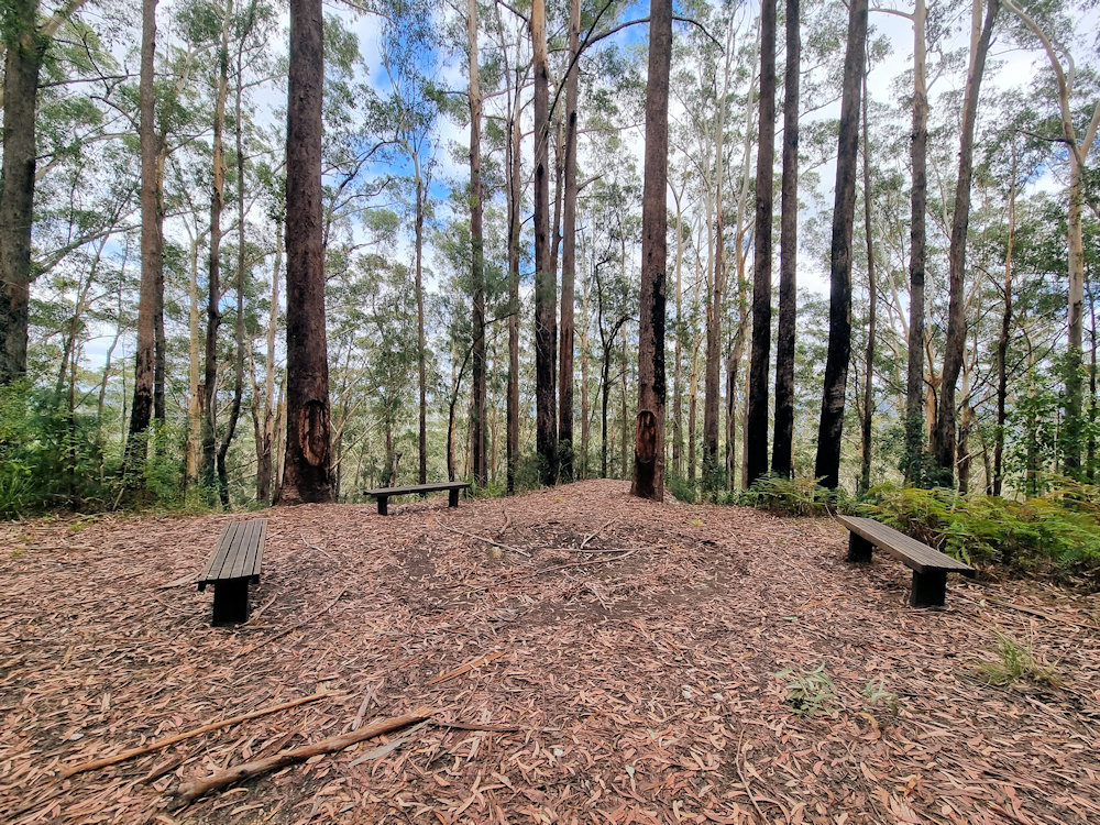 Boolah-Dillah Track - Destination's Journey