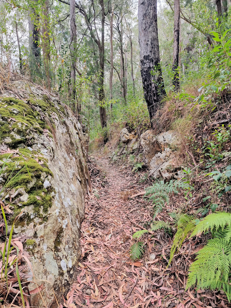 Boolah-Dillah Track - Destination's Journey