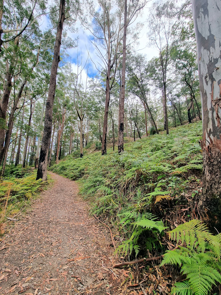 Boolah-Dillah Track Archives - Destination's Journey