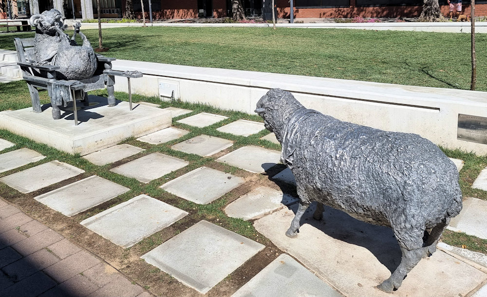 Canberra Public Art and Sculptures - Destination's Journey