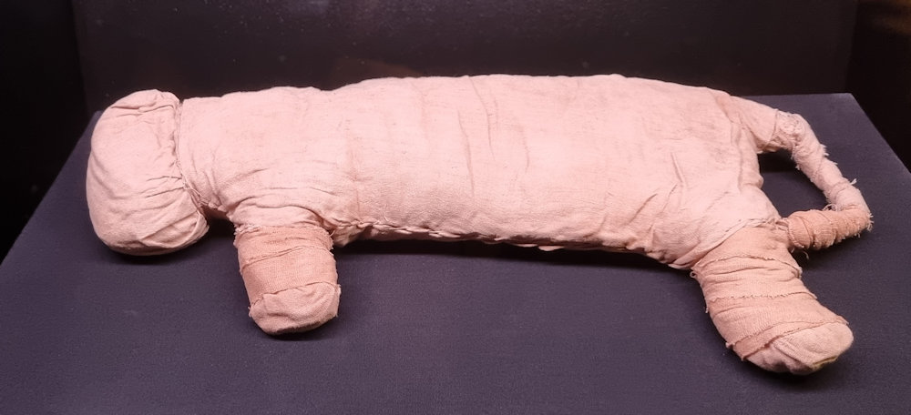 Ramses the Great at the Australian Museum - Destination's Journey