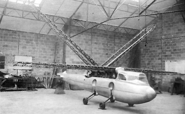 Riout 102T Alérion Ornithopter - Destination's Journey