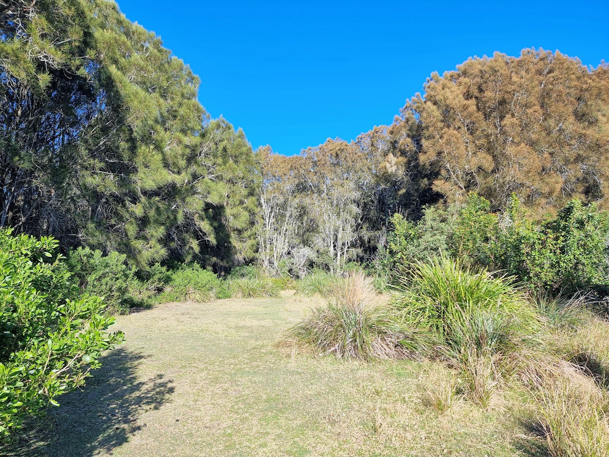 Wasp Head Walking Track - Destination's Journey