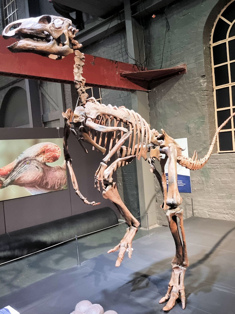 Dinosaurs: Surviving Extinction exhibition at Newcastle Museum ...