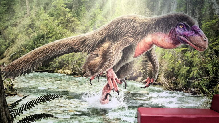 Dinosaurs: Surviving Extinction exhibition at Newcastle Museum ...