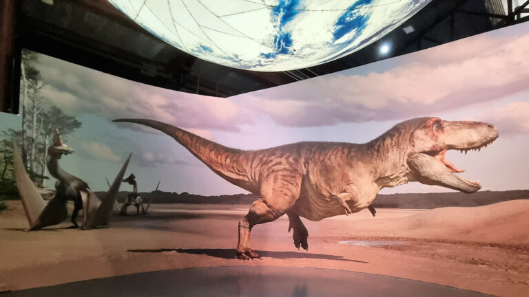 Dinosaurs: Surviving Extinction exhibition at Newcastle Museum ...